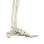 Products - Valor Medical